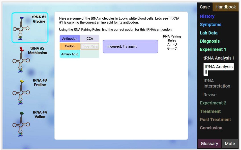 tRNA #1 Glycine tRNA #2 Methionine tRNA #3 Proline tRNA #4 Valine Here are some of the tRNA ...