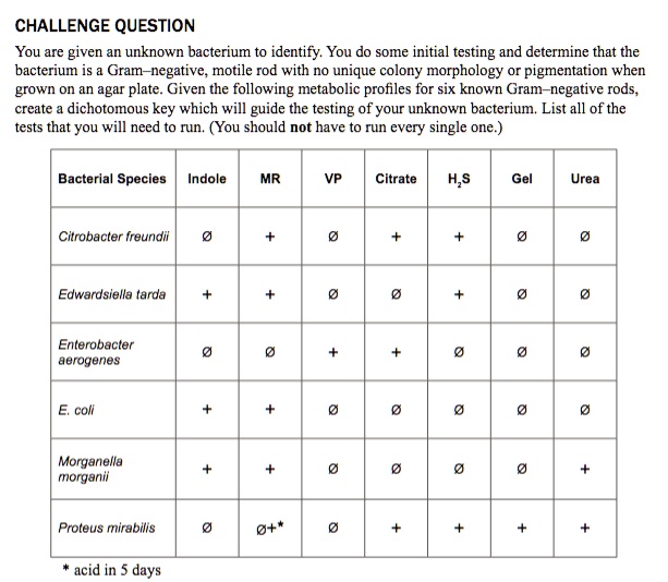 SOLVED: CHALLENGE QUESTION You are given an unknown bacterium to ...