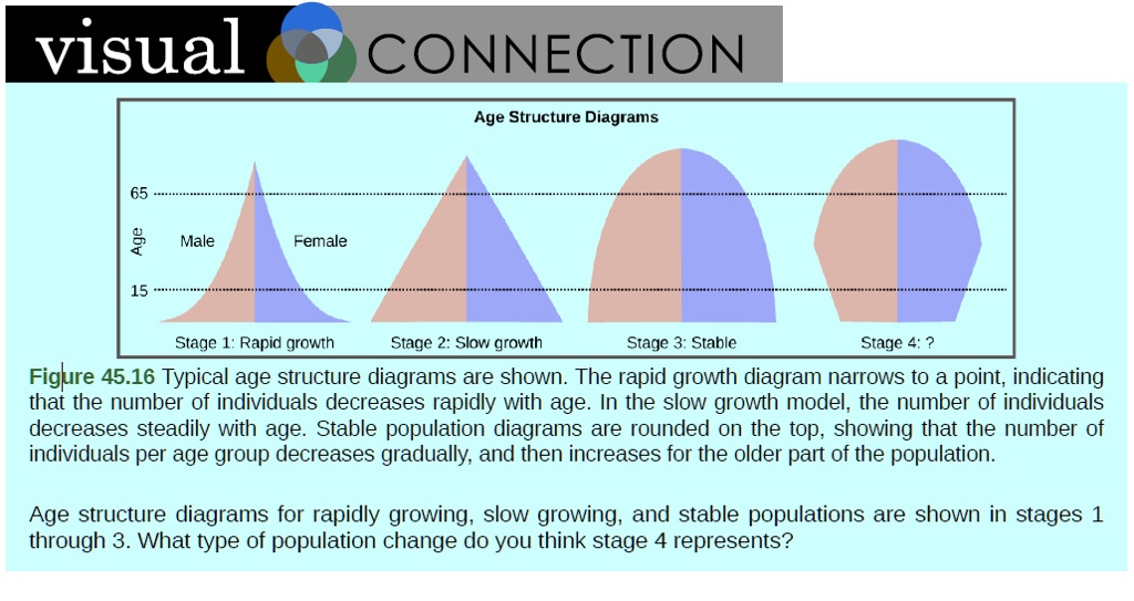 SOLVED: visual CONNECTION Age Structure Diagrams 2 Male Female 15 Stage ...