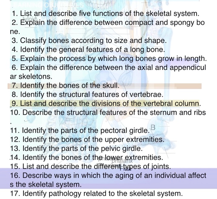 list and describe five functions of the skeletal system 2 explain the ...