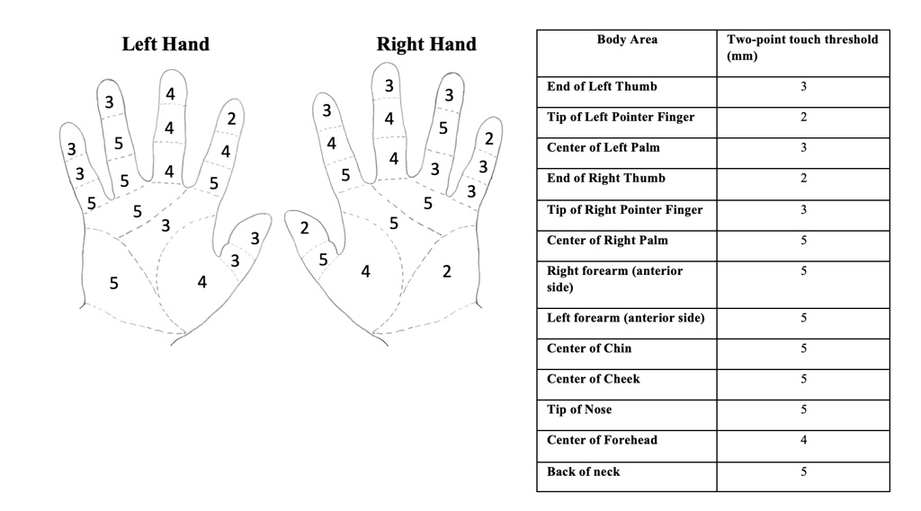 SOLVED The Following Questions Are Based On The 2 point Touch Test solved-the-following-questions-are-based-on-the-2-point-touch-test