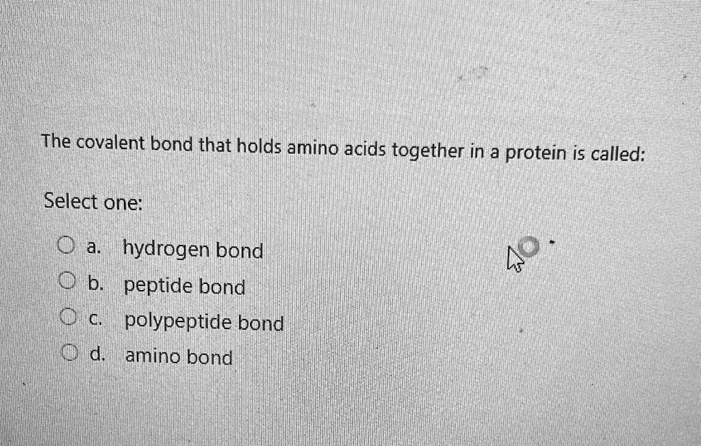 SOLVED: The covalent bond that holds amino acids together in a protein is called: Select one: a ...