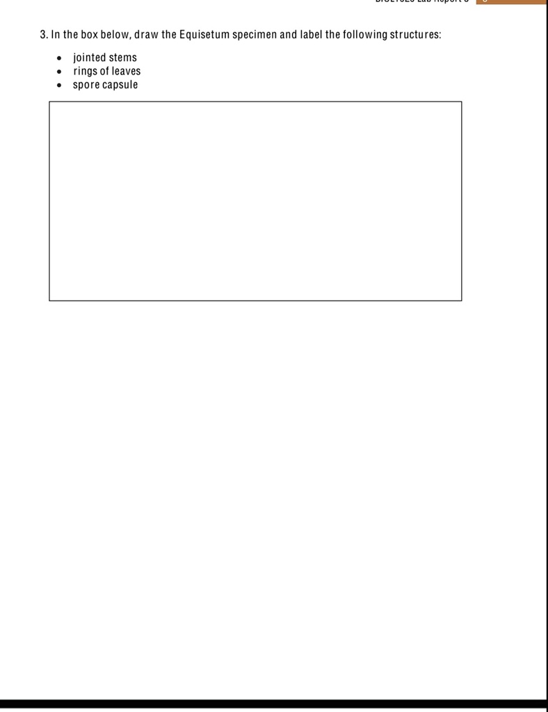 in the box below draw the equisetum specimen and label the following ...