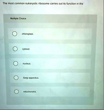the most common eukaryotic ribosome carries out its function in the ...