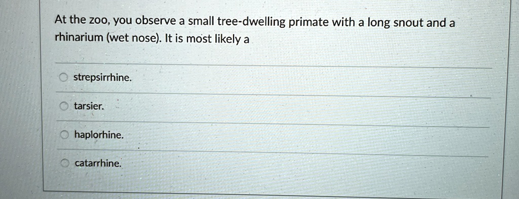At the zoo, you observe a small tree-dwelling primate with a long snout ...