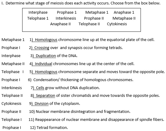 SOLVED: Determine what stage of meiosis does each activity occurs ...