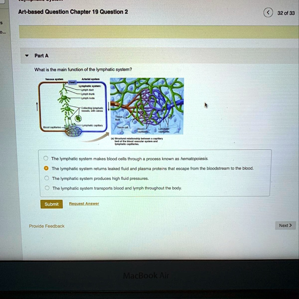 SOLVED: What is the function of the lymphatic system? Art-based Question Chapter 19 Question 2 ...
