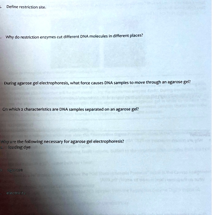 define restriction site why do restriction enzymes cut different dna ...