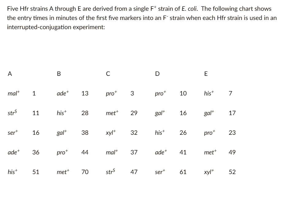 five hfr strains a through e are derived from a single f strain of e ...