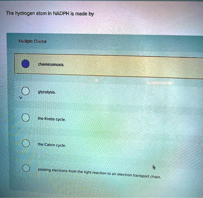 SOLVED: The hydrogen atom in NADPH is made by multiple choice ...