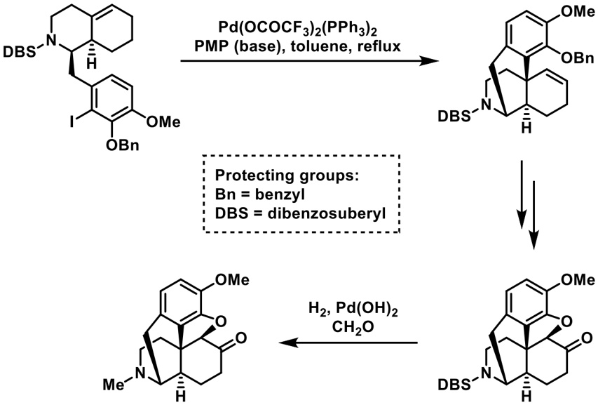 Pd(OCOCF3)2(PPh3)2 PMP (base), toluene, reflux Protecting groups: Bn ...