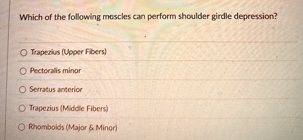 Which of the following muscles can perform shoulder girdle depression ...