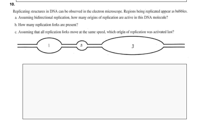 SOLVED: Replicating structures DNA can be observed in the electron ...