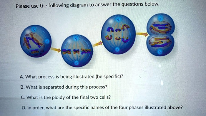Please use the following diagram to answer the questions below. A. What ...