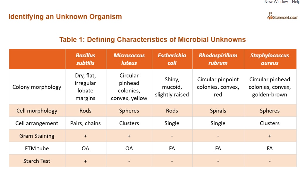 new window help identifying an unknown organism sclencelabs table 1 ...