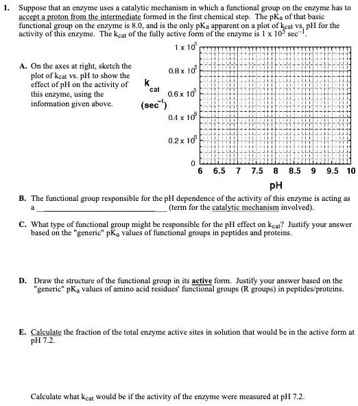 SOLVED: Suppose that an enzyme uses a catalytic mechanism in which a functional group on the ...