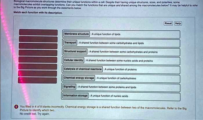 Biological macromolecule structures determine their unique functions within a cell. Despite ...