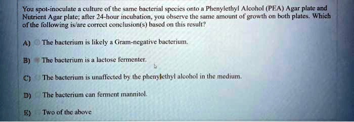 SOLVED: You spot-inoculate culture of the same bacterial species onto ...