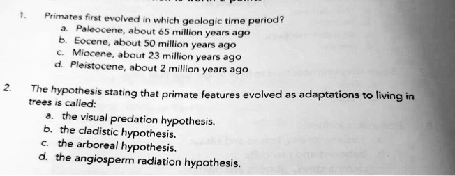 1. Primates first evolved in which geologic time period? a. Paleocene ...
