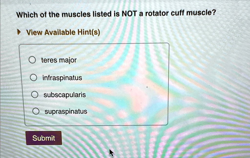 which of the muscles listed is not a rotator cuff muscle view available ...
