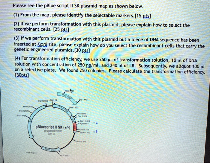 SOLVED: Please see the pBlue script Il SK plasmid map as shown below ...