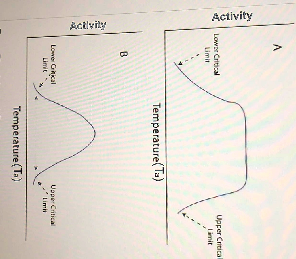 SOLVED: he... Activity These graphs show the relationship between ...