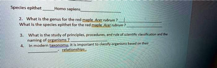 SOLVED: Species epithet Homo sapiens What is the genus for the red ...