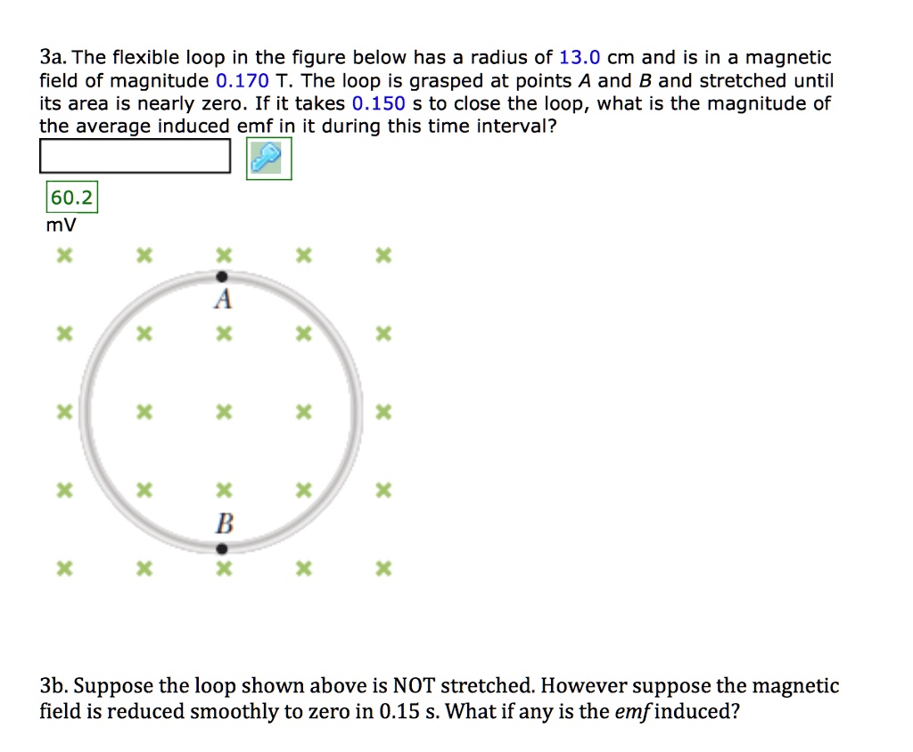 The flexible loop in the figure below has a radius of 13.0 cm and is in a magnetic field of ...