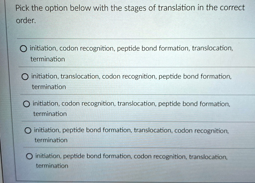 pick the option below with the stages of translation in the correct ...