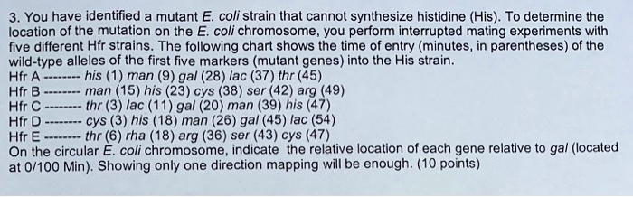 SOLVED: You have identified mutant E: coli strain that cannot ...