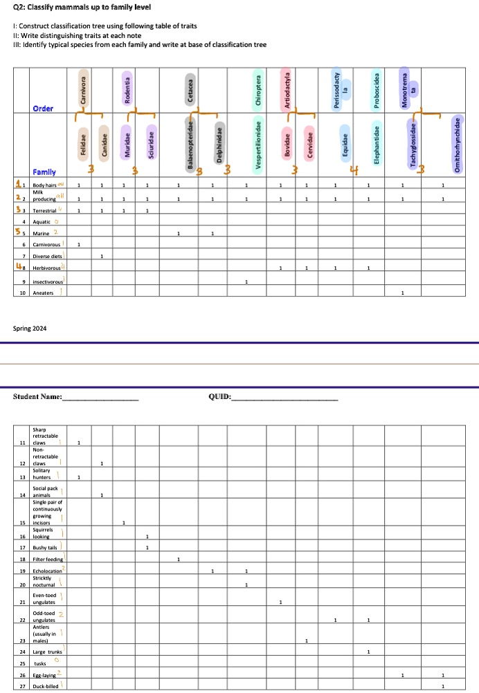 Student Name: Sharp retractable claws Non- retractable claws Solitary ...