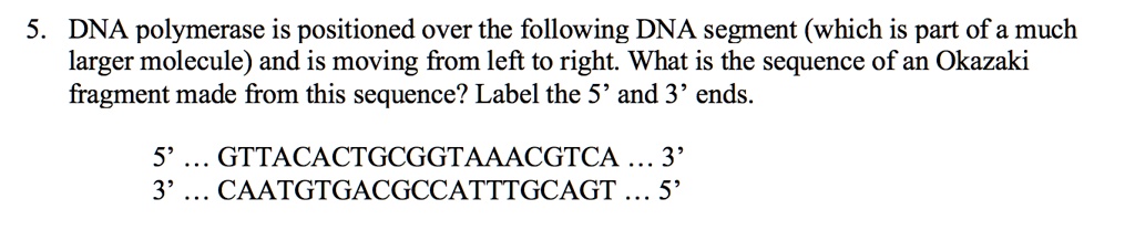 5 dna polymerase is positioned over the following dna segment which is ...