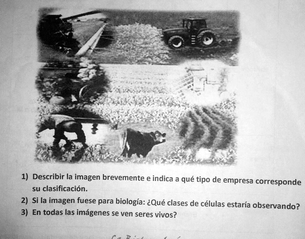 SOLVED: hola :D me ayudan porfa 1) Describir la imagen brevemente e ...