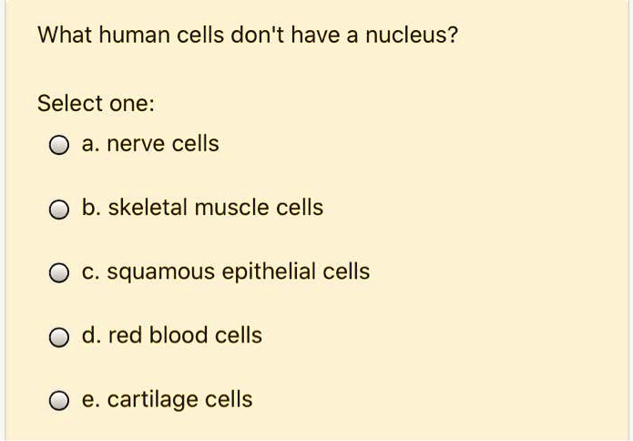 SOLVED: What human cells don't have nucleus? Select one: a. nerve cells ...