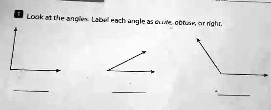 SOLVED: Lookat the angles Label each angle as acute; obtuse; or = right.
