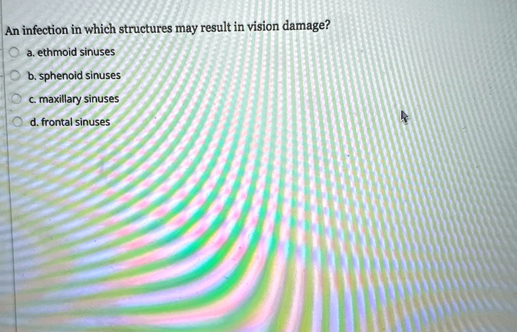 an infection in which structures may result in vision damage a ethmoid ...