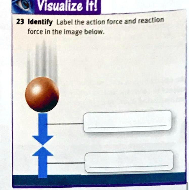SOLVED: Help me, please? :))))) Visualize It! 23. Identify and label ...