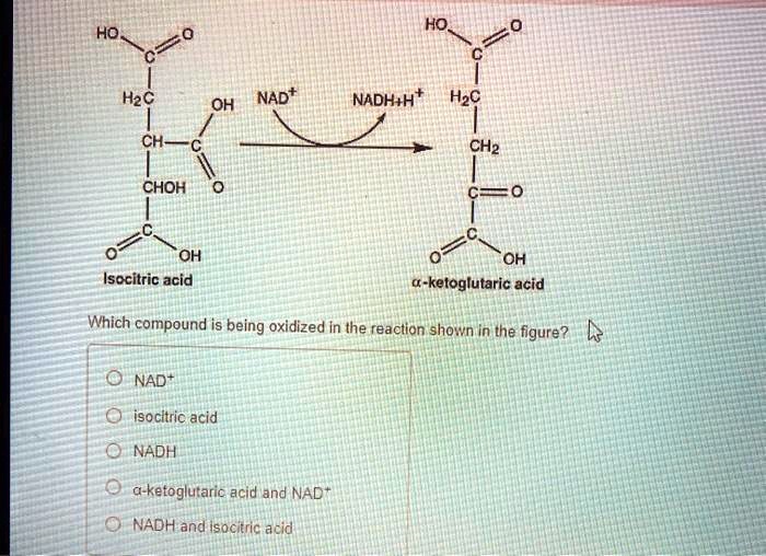 SOLVED: HO- HO H2C OH NADH NADH+H+ H2C CH2- CH2 CHOH OH Isocitric acid ...