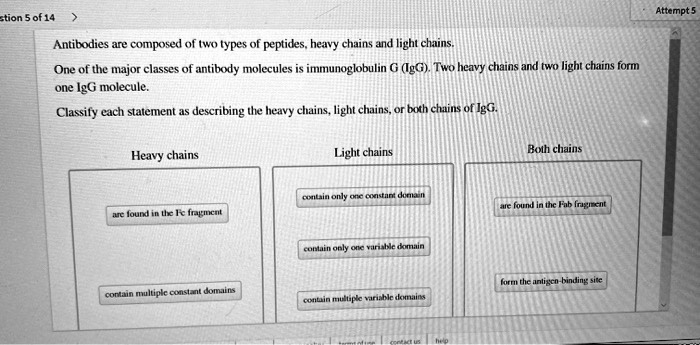 SOLVED:Attampt s -uor 0f14 Antibodies ane composed Ow types of peptides ...