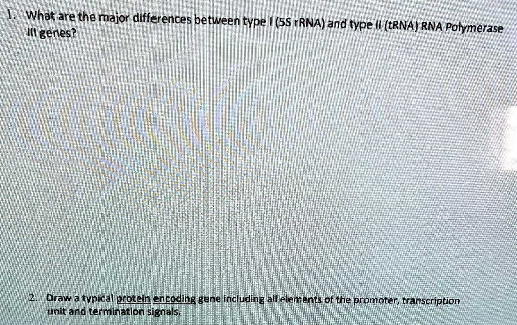 SOLVED: What are the major differences between tvpe / (5S rRNA) and ...