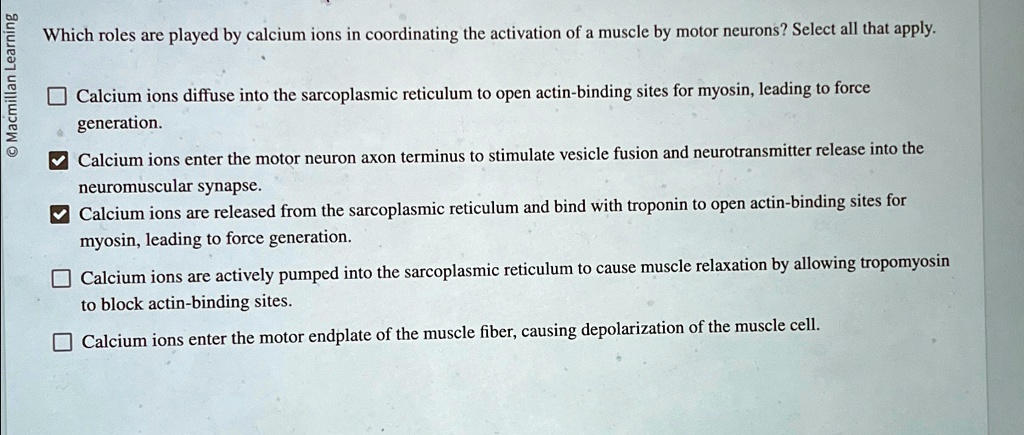 Which roles are played by calcium ions in coordinating the activation of a muscle by motor ...