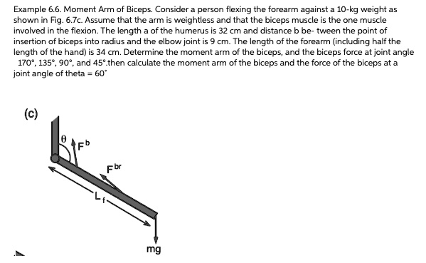 Example 6.6. Moment Arm of Biceps. Consider a person flexing the ...