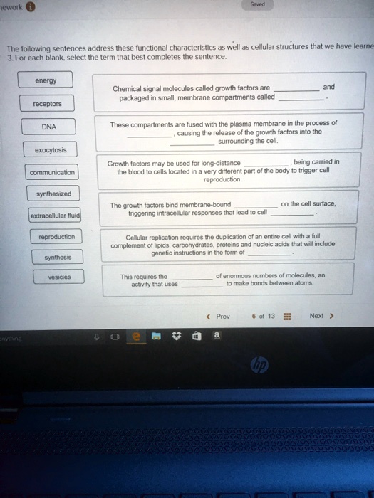 The following sentences address these functional characteristics as ...