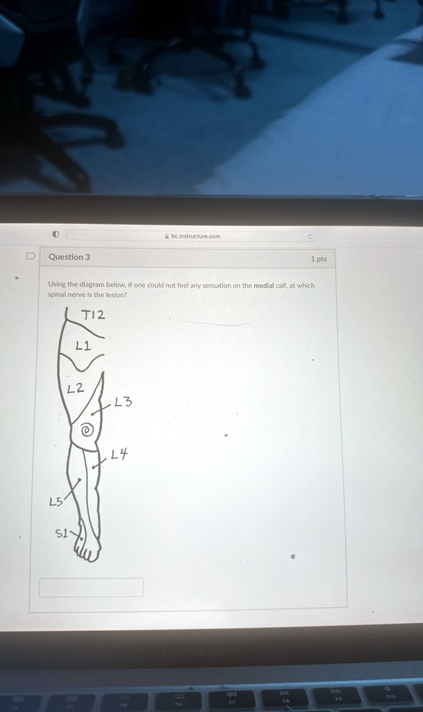 Question 3 Using the diagram below, if one could not feel any sensation ...