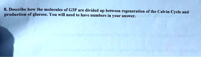 SOLVED: 8. Describe how the molecules of G3P are divided up between ...