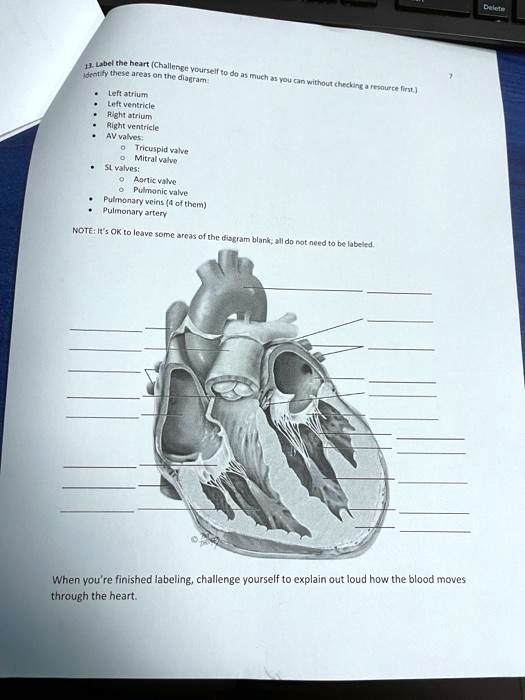 13. Label the heart (Challenge yourself to do as much as you can ...
