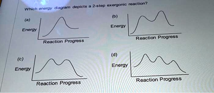 SOLVED: 2-step exergonic reaction? diagram depicts Which energy Energy ...