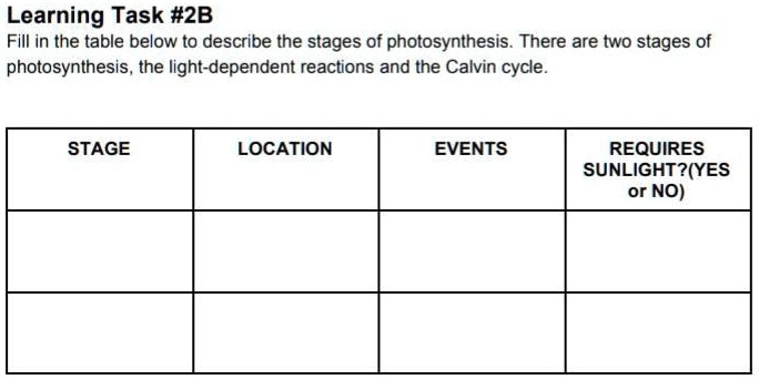 Learning Task #2B Fill in the table below to describe the stages of ...