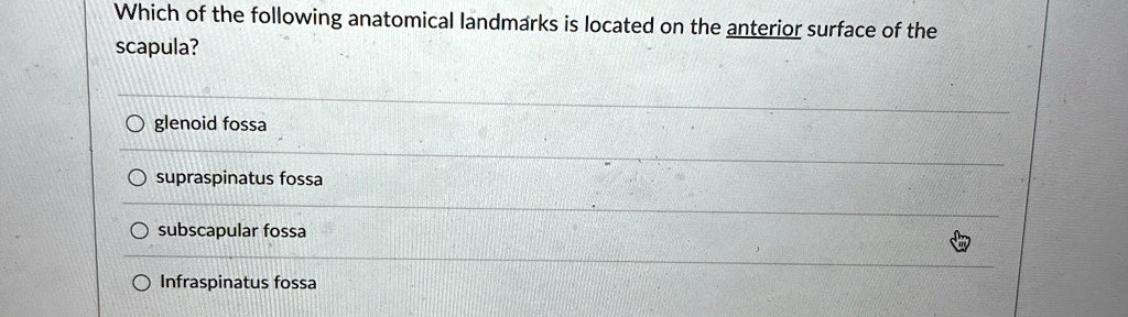 which of the following anatomical landmarks is located on the anterior ...