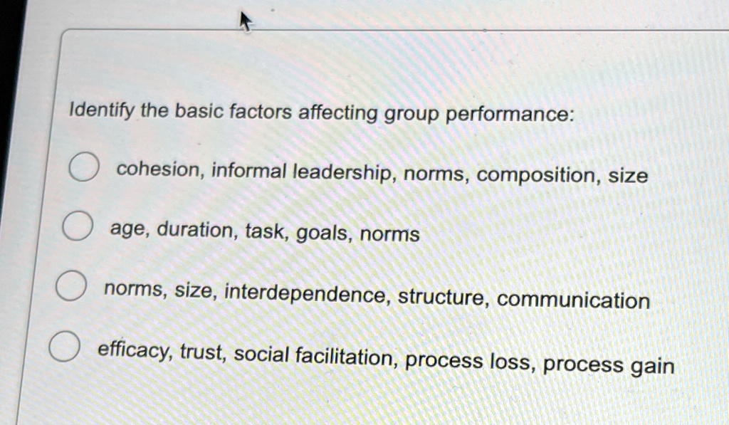 SOLVED: 'Identify the basic factors affecting group performance ...